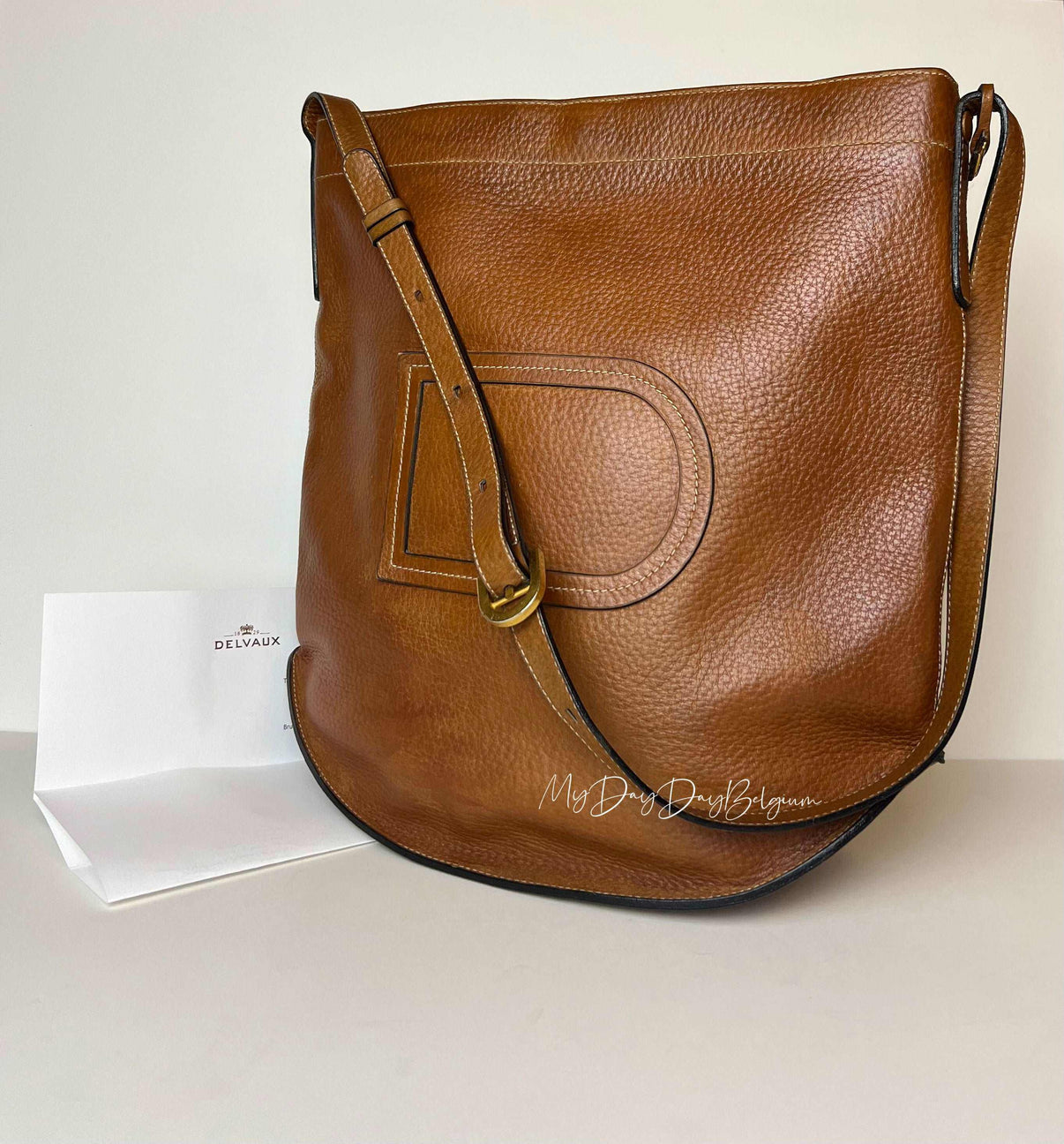 Delvaux Pin Trotteur Fauve 1972 - Vintage Luxury Bag – MyDayDayBelgium